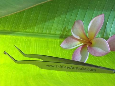 Did you know a nymph tick is the size of a poppy seed, and they're eve ...